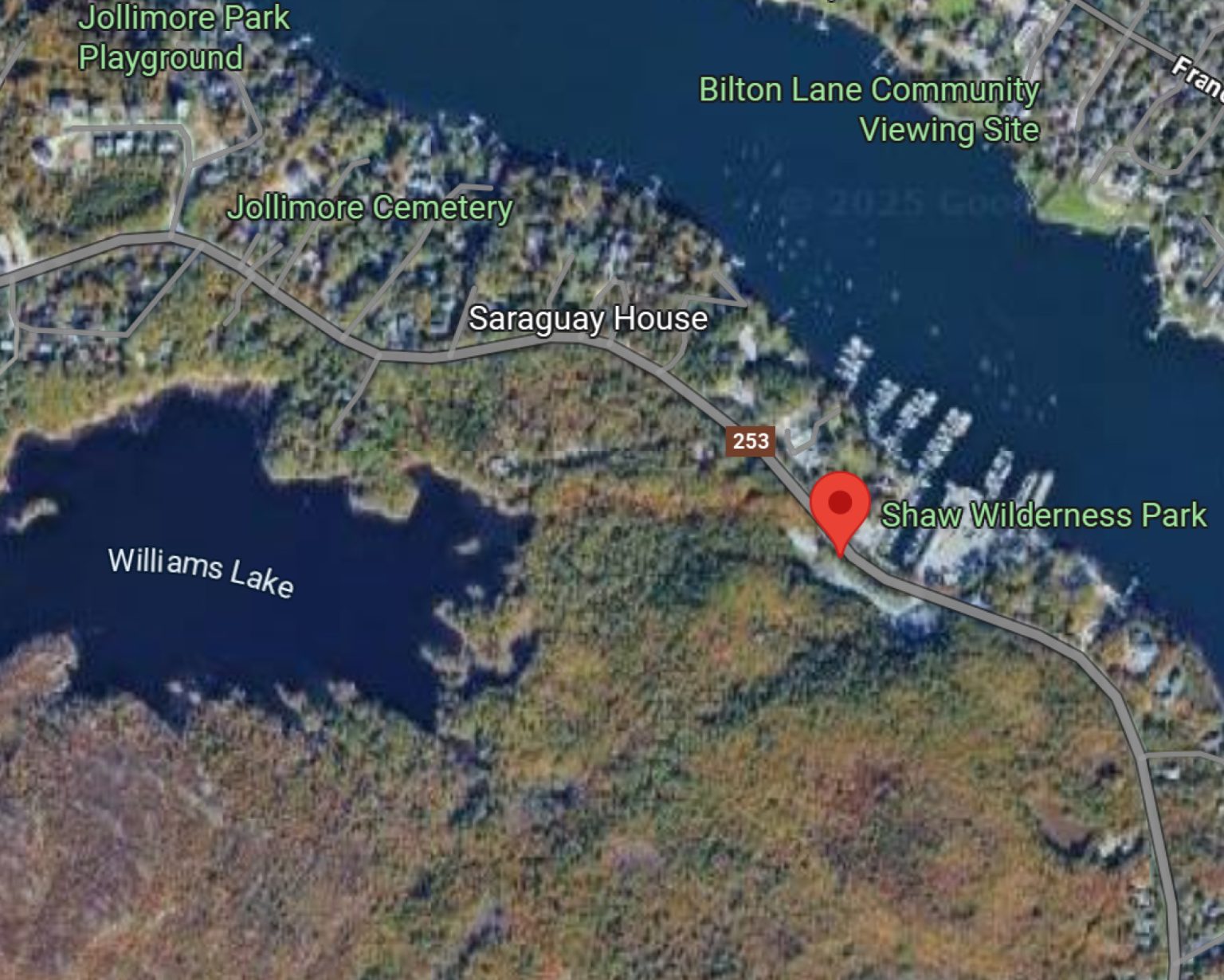 Happy Birthday Party for Shaw Wilderness Park | Nova Scotia Wild Flora ...